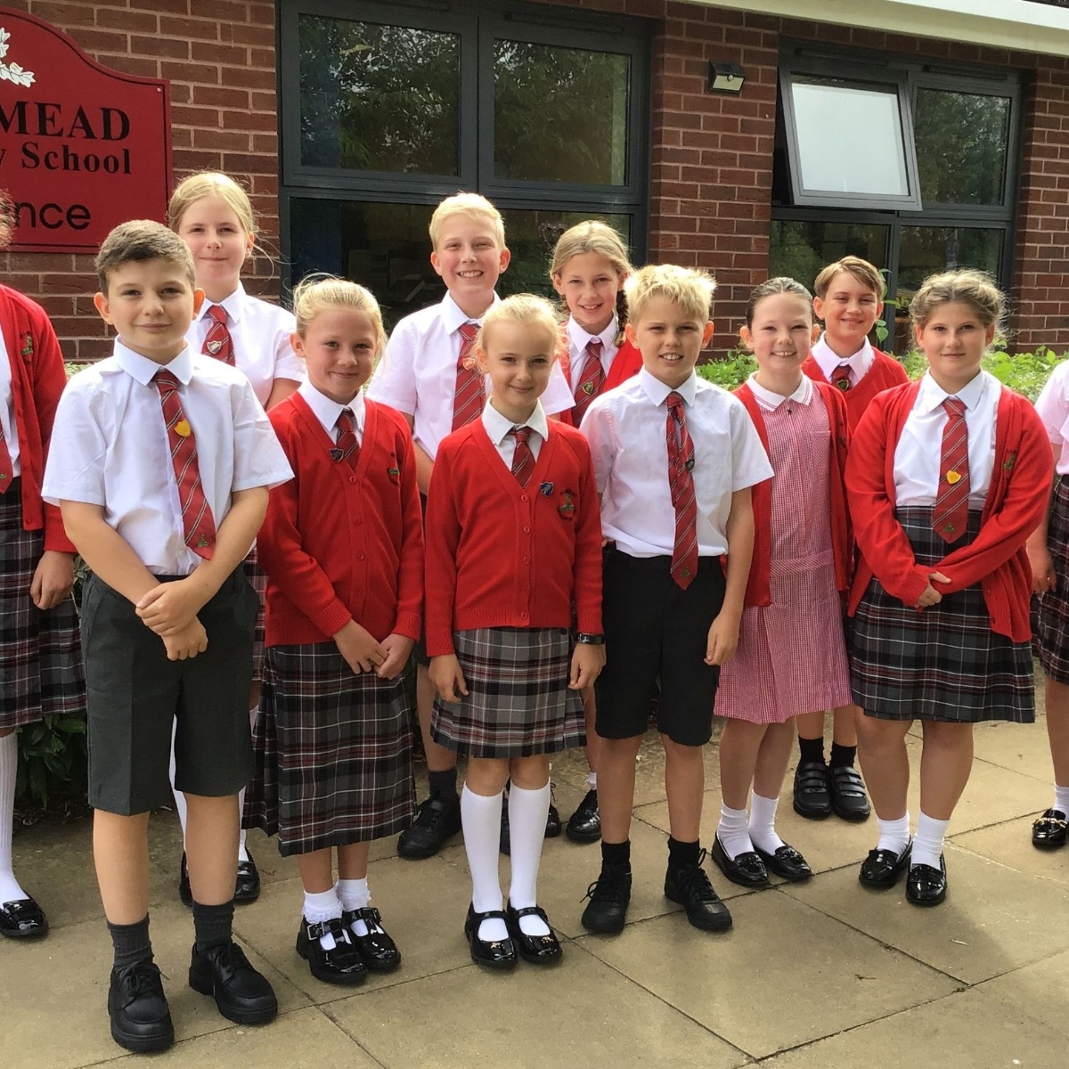 Hillmead Primary School - Meet our new House Captains!